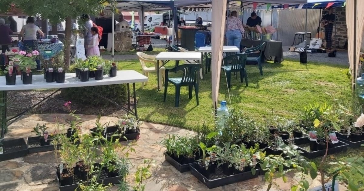 Mt Torrens Market • Adelaide Hills Council