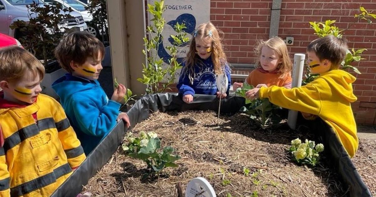 A garden for all in Lobethal • Adelaide Hills Council