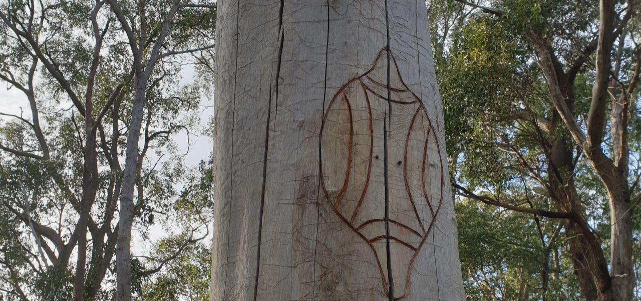 Homepage Council Current: Reconciliation