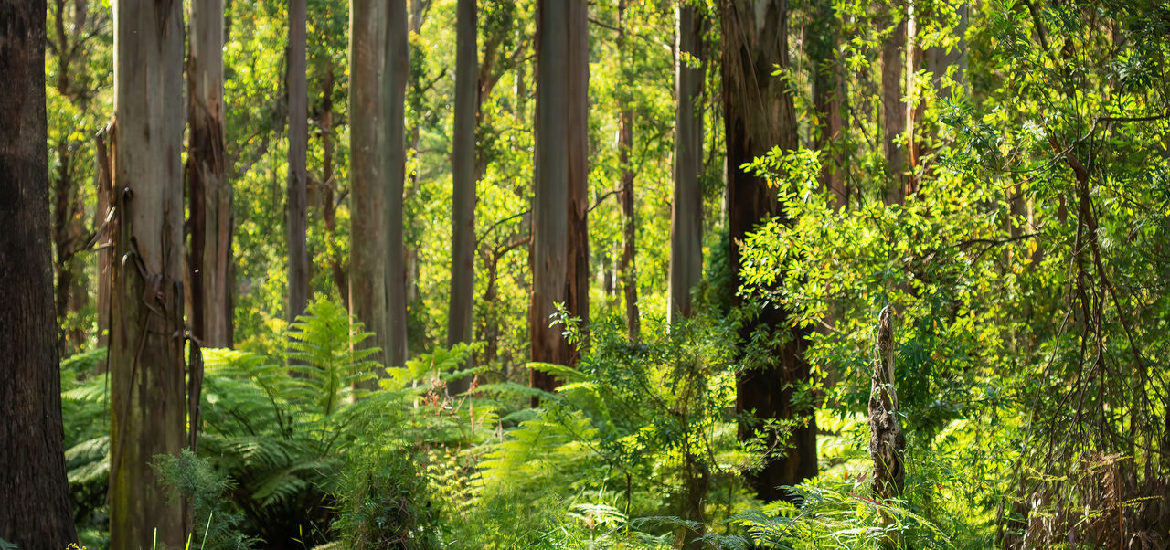 Homepage Community Latest News