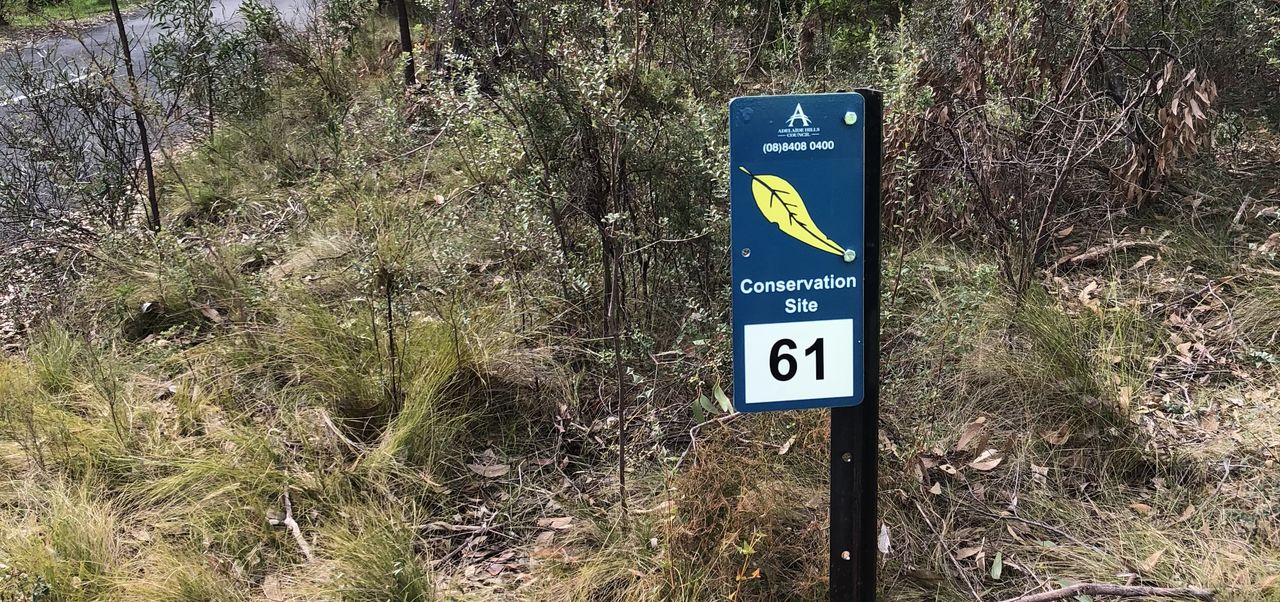 Homepage Environment Current: Roadside Vegetation