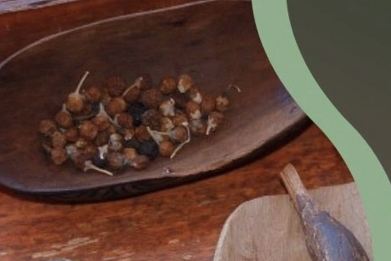 NAIDOC Week: Native Food Plants - Cultural Connection