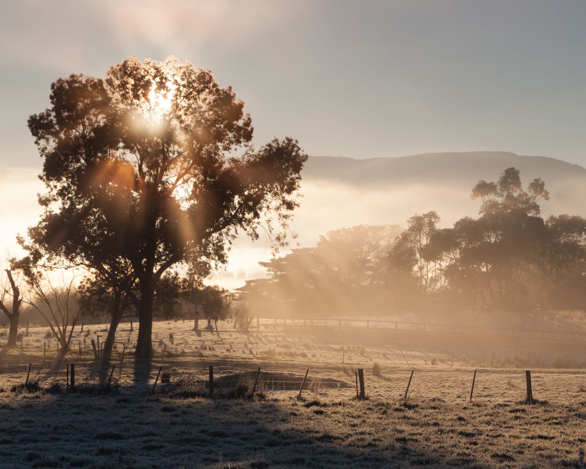 Adelaide Hills Council