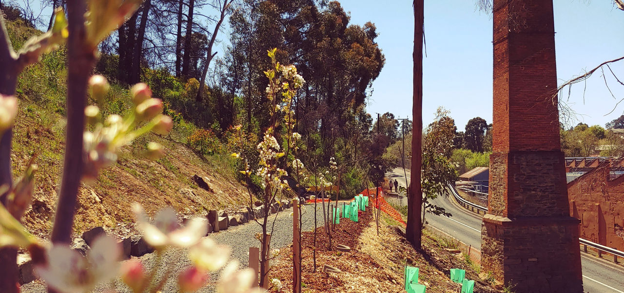 Homepage Discover Parks and Recreation Current: Mill Road Pocket Forest