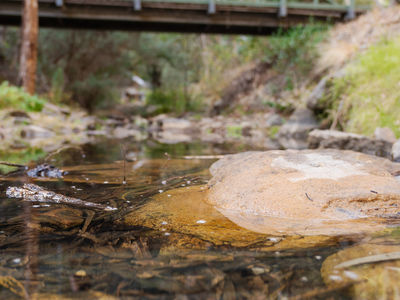 Mukanthi Nature Play Space
