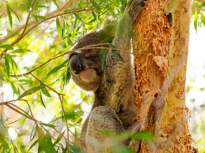 Mukanthi Nature Play Space