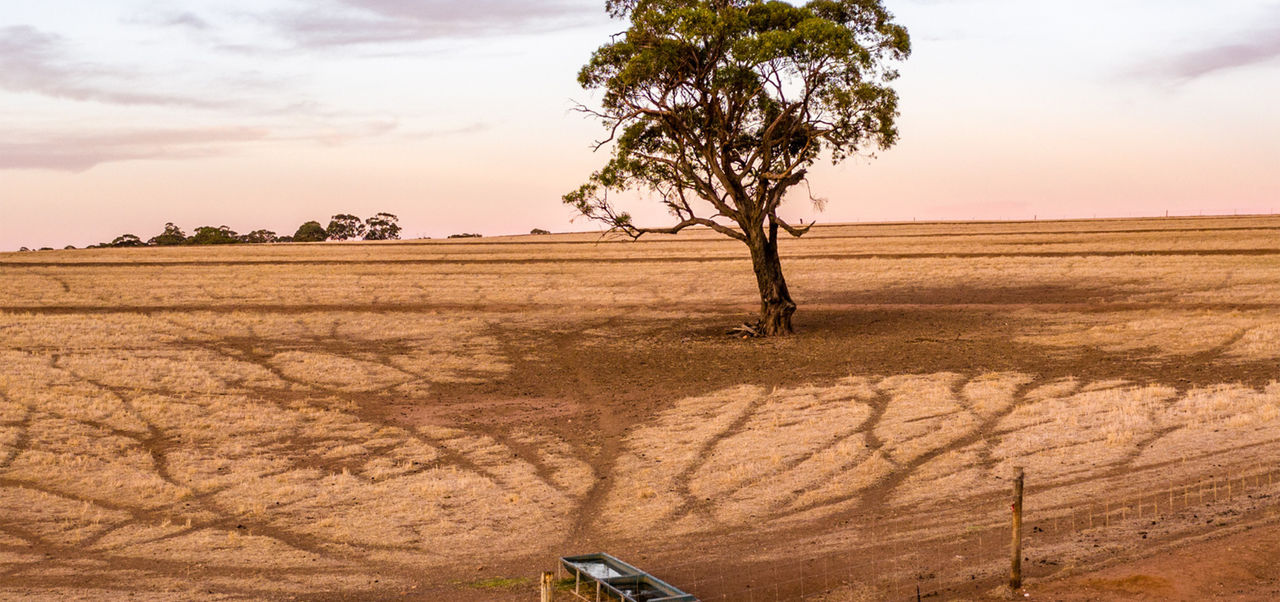 Homepage Community Latest News