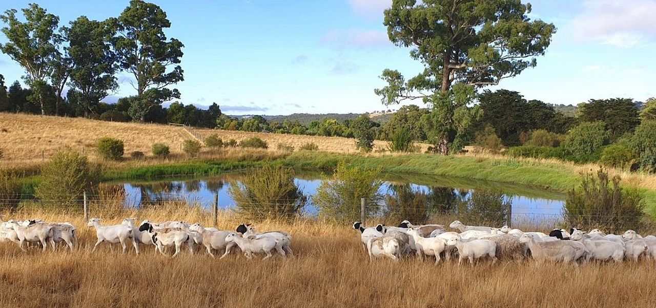 Homepage Community Latest News