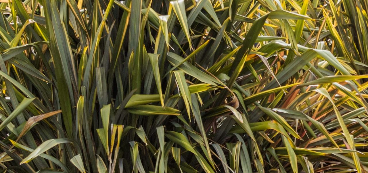 Homepage Community Latest News