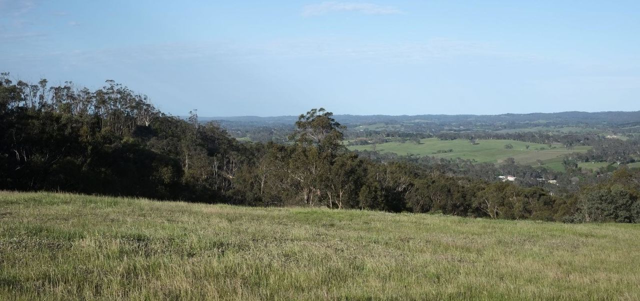 Homepage Community Latest News