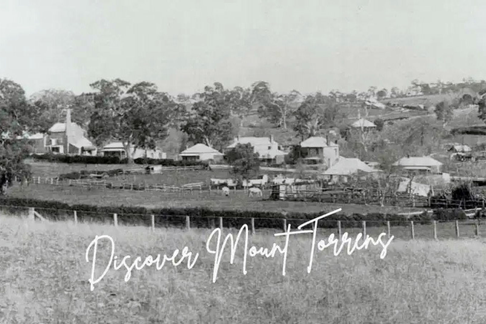 Highlights include a rare Australian building style; two-storey homes ...