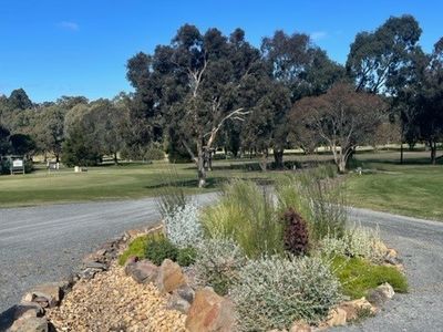 The gardens of the club were initiated in 2022 by club member Kate ...