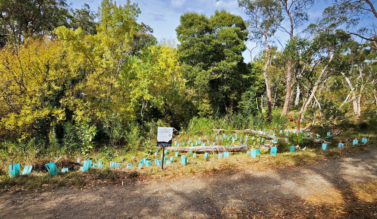 Community involvement is encouraged, and individuals interested in ...