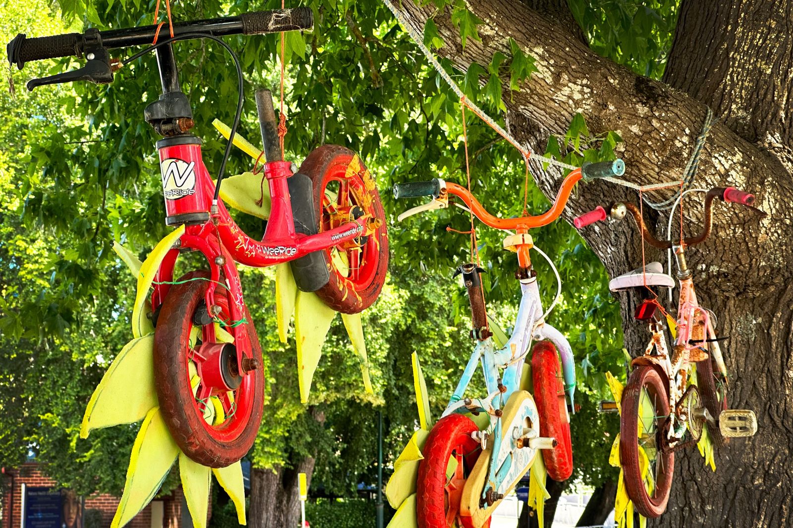 Uraidla celebrated as Santos Tour Down Under Best Dressed Town ...